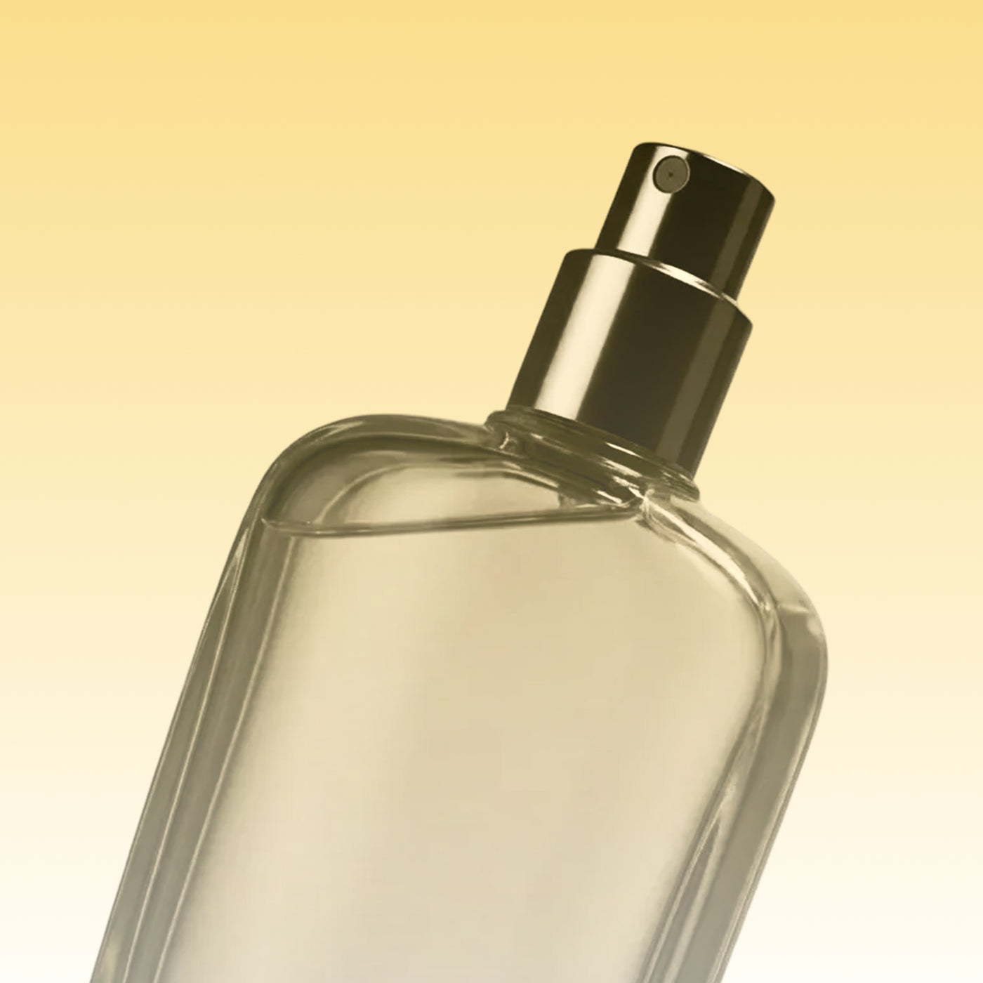 D&P Parfum – D&P Parfum